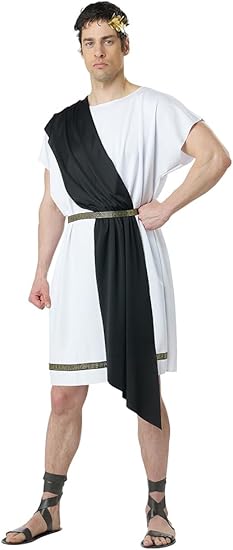 Party Toga - Adult Costume | Chicago Costume Company