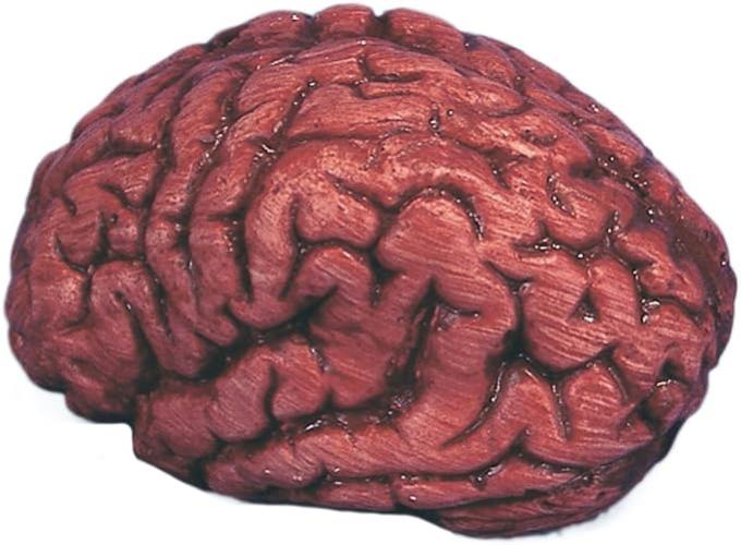Bloody Organ Brain