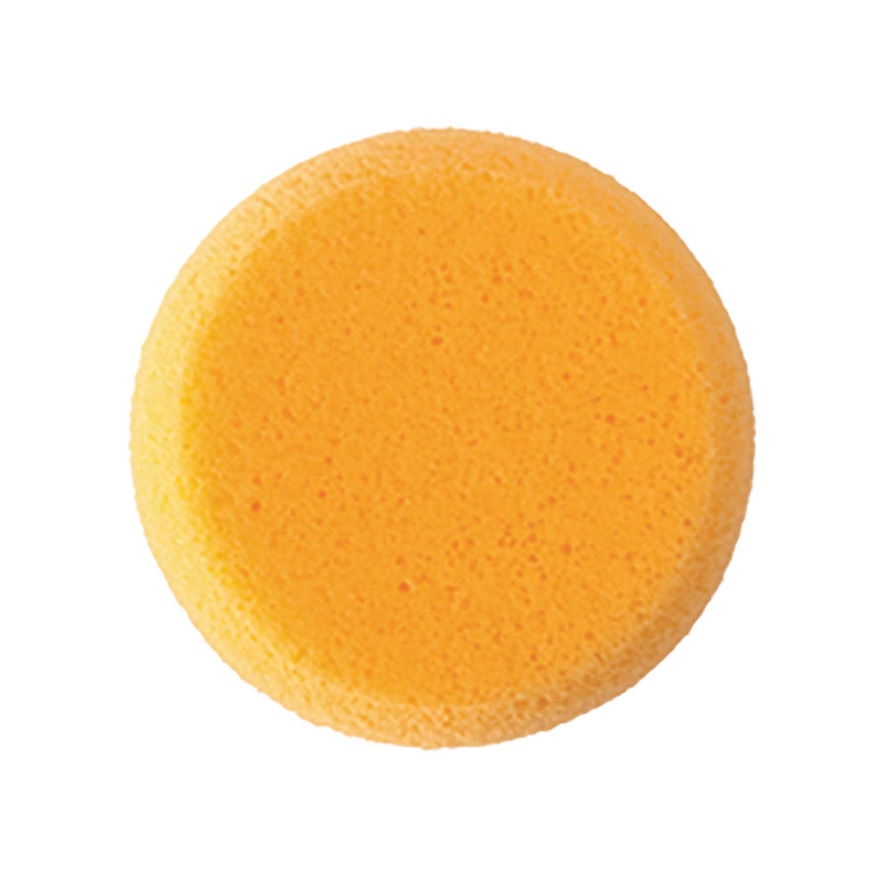 Ben Nye Hydra Sponge - Small