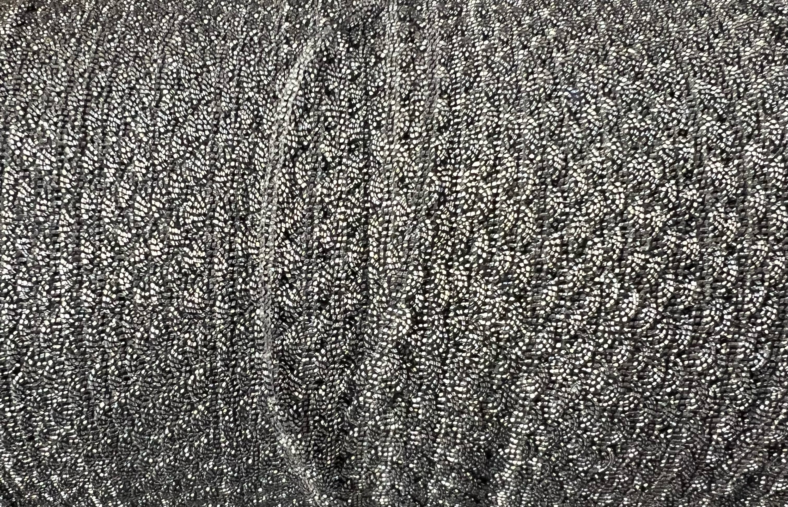 Silver braid trim | Chicago Costume Company