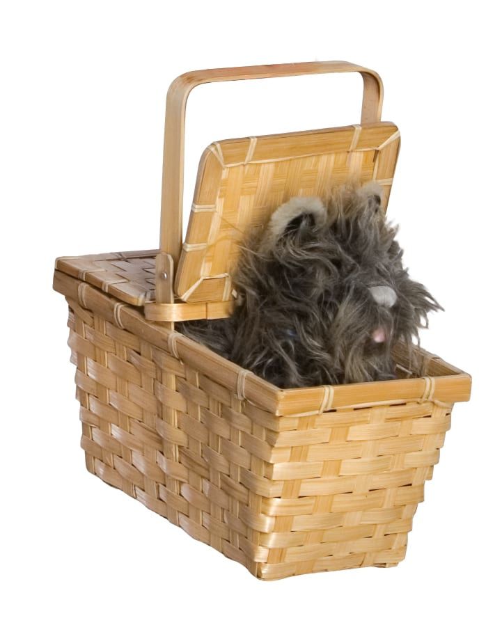 Wizard of Oz Deluxe Toto in Basket | Chicago Costume Company