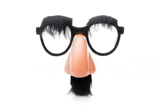 Disguise Set | Chicago Costume Company